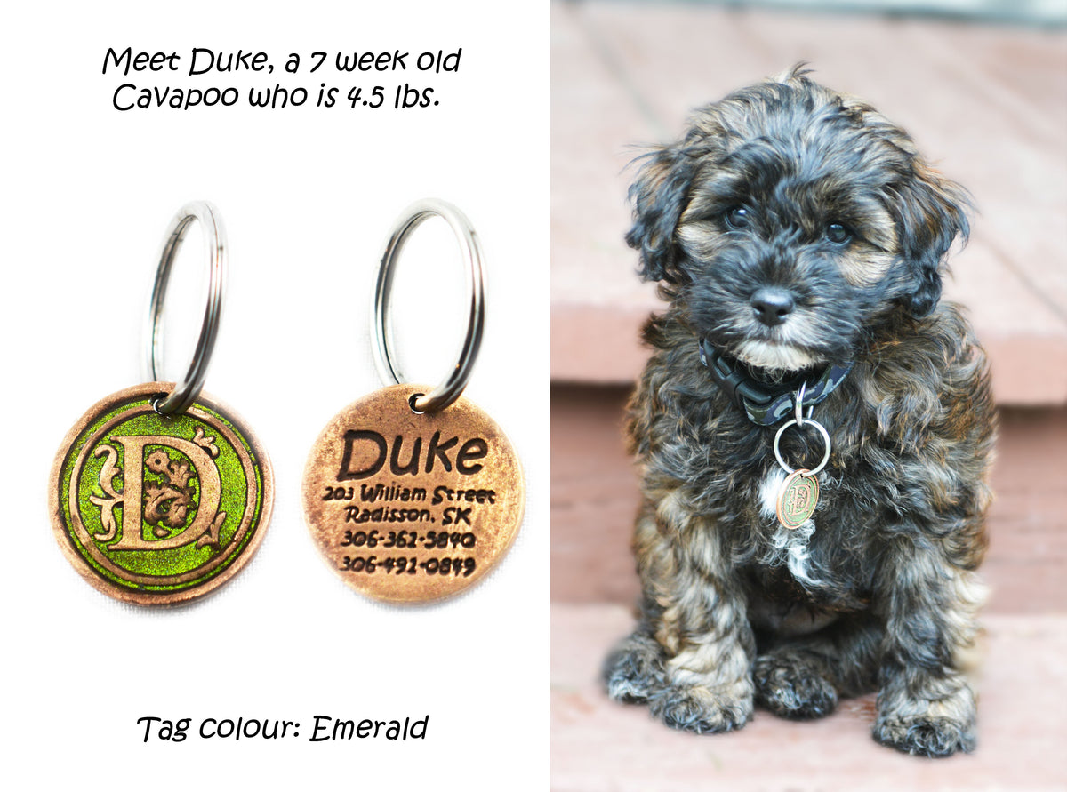 Dog Tag - Glittery Circle – My Fine Silver Designs